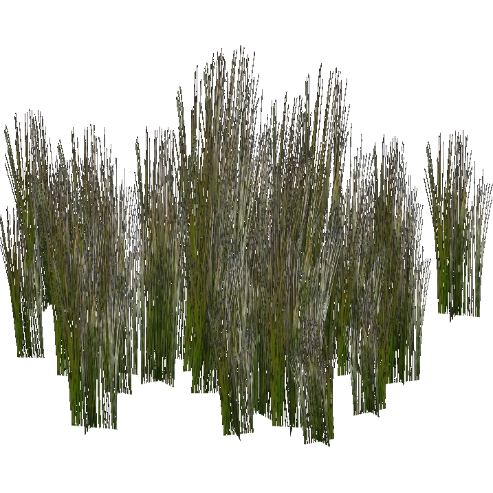 Swamp Club-rush (Whalebite) | ZT2 Download Library Wiki | Fandom