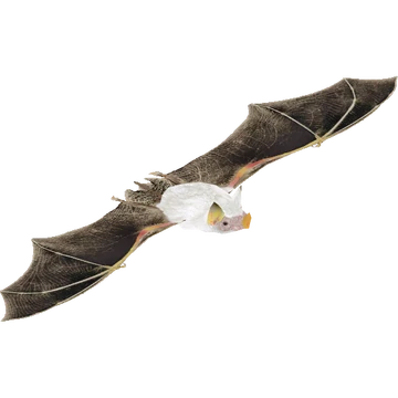 How To Draw A Honduran White Bat