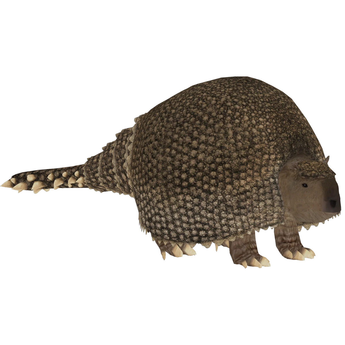 Panochthus (Demon Hunter) | ZT2 Download Library Wiki | Fandom