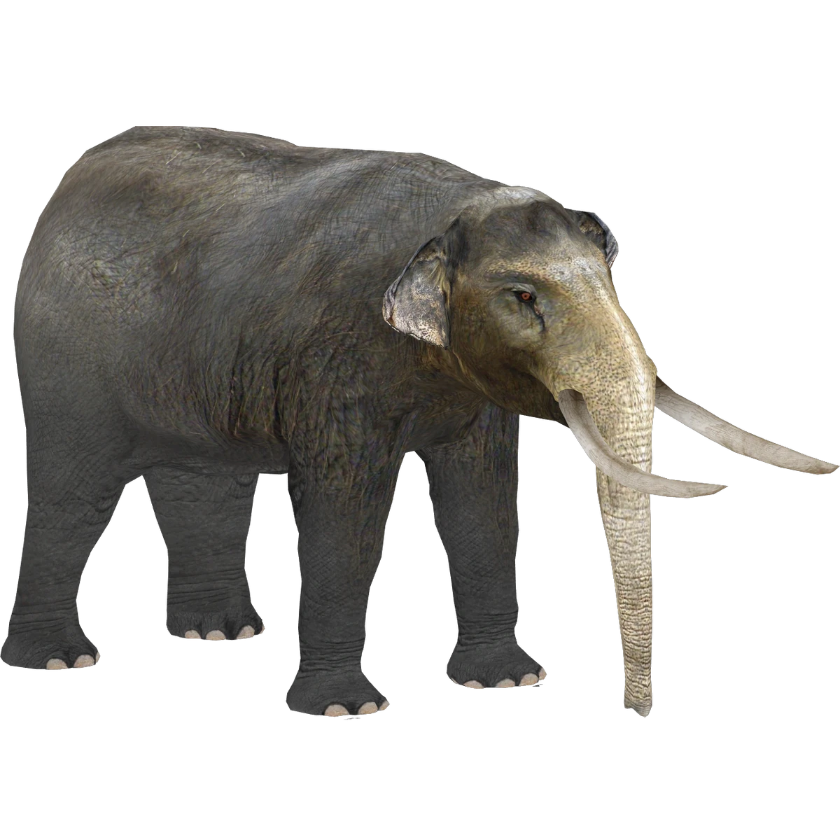 Dwarf Javan Mastodon (Demon Hunter) | ZT2 Download Library Wiki | Fandom