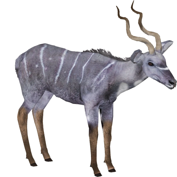 Northern Lesser Kudu (Tamara Henson) | ZT2 Download Library Wiki | Fandom