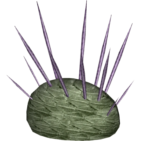 Wiwaxia
