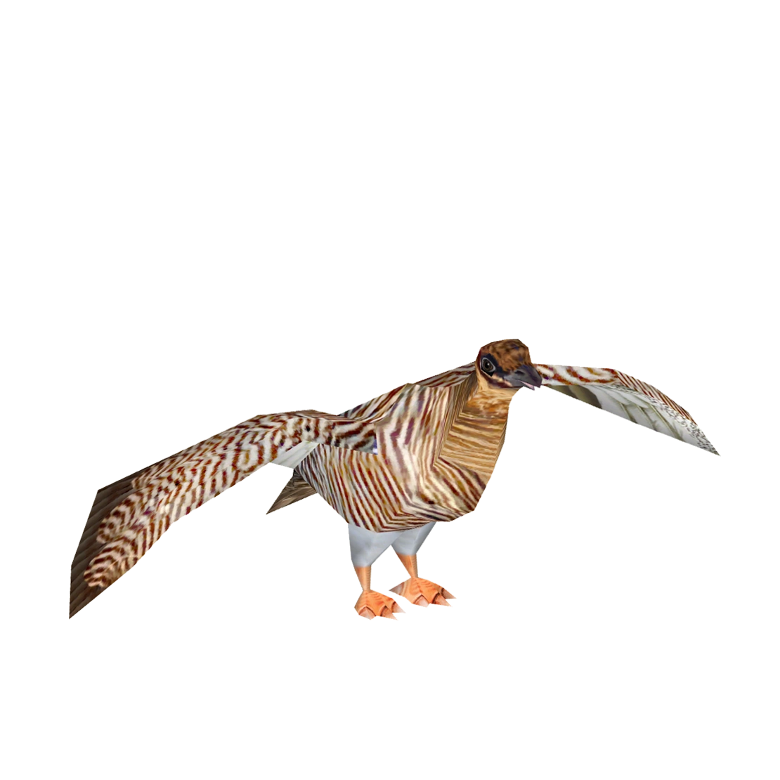 Prairie Chicken Clipart Image