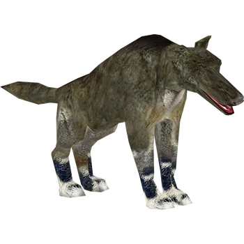 Shunka Warakin (Fantasy Fanatics) | ZT2 Download Library Wiki | Fandom