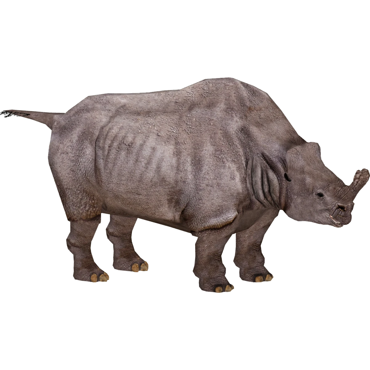 Embolotherium (Bill) | ZT2 Download Library Wiki | Fandom