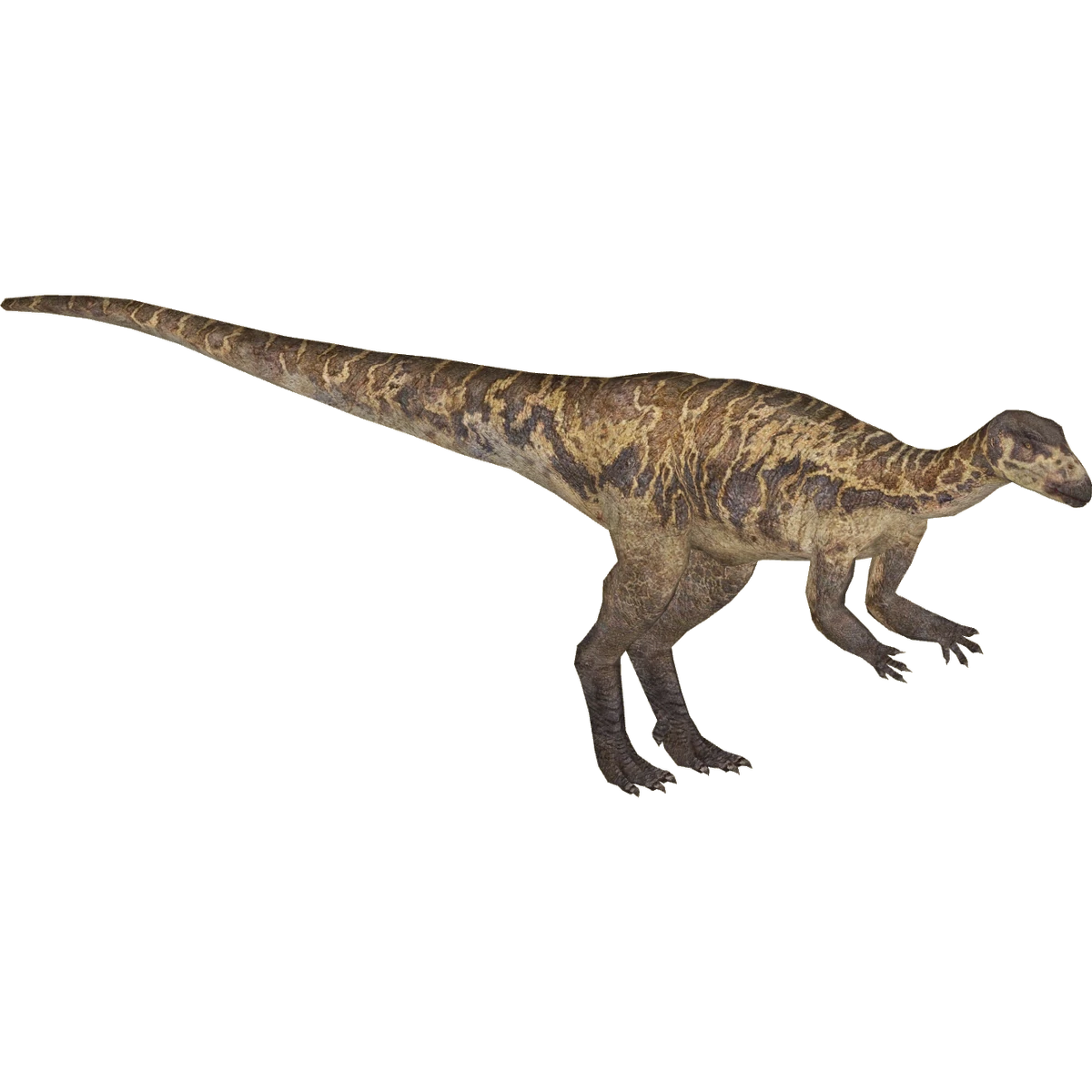 Macrogryphosaurus (HENDRIX) | ZT2 Download Library Wiki | Fandom