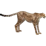 Category:2025 | ZT2 Download Library Wiki | Fandom