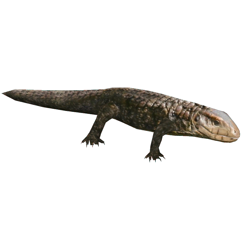 Southern Caiman Lizard (Austroraptor) | ZT2 Download Library Wiki | Fandom