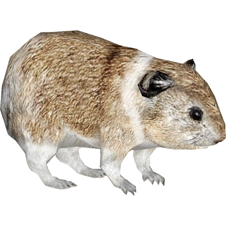 Collared Pika (Tamara Henson) | ZT2 Download Library Wiki | Fandom