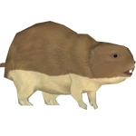 Category:Myomorphs | ZT2 Download Library Wiki | Fandom