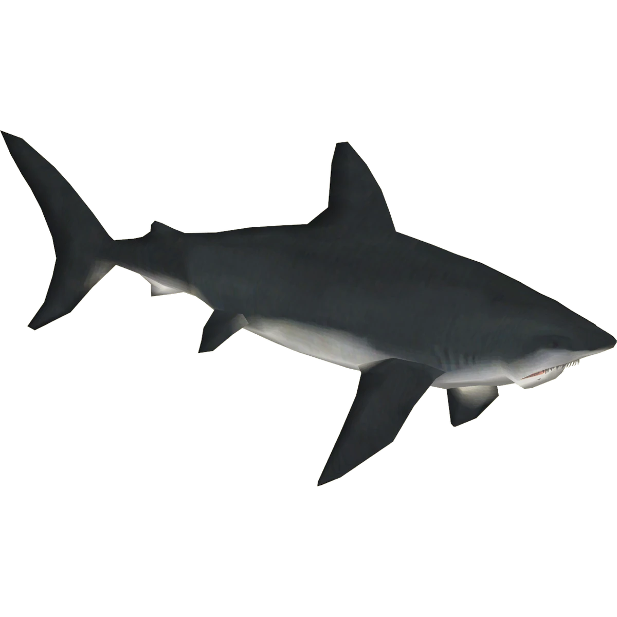 Porbeagle Shark (Dannybob) | ZT2 Download Library Wiki | Fandom