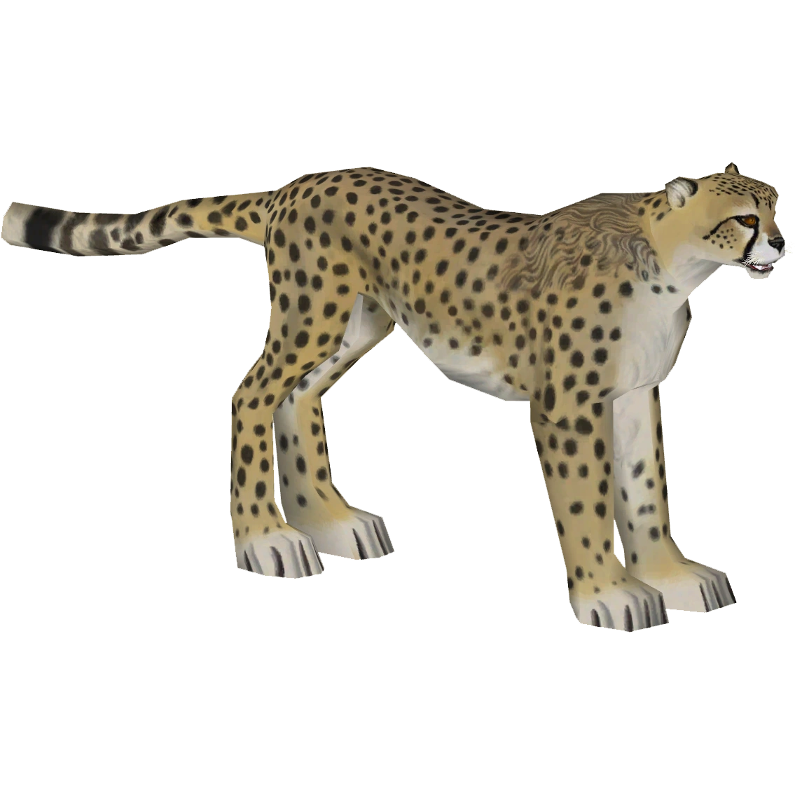 American Cheetah (Dinosaur) | ZT2 Download Library Wiki | Fandom