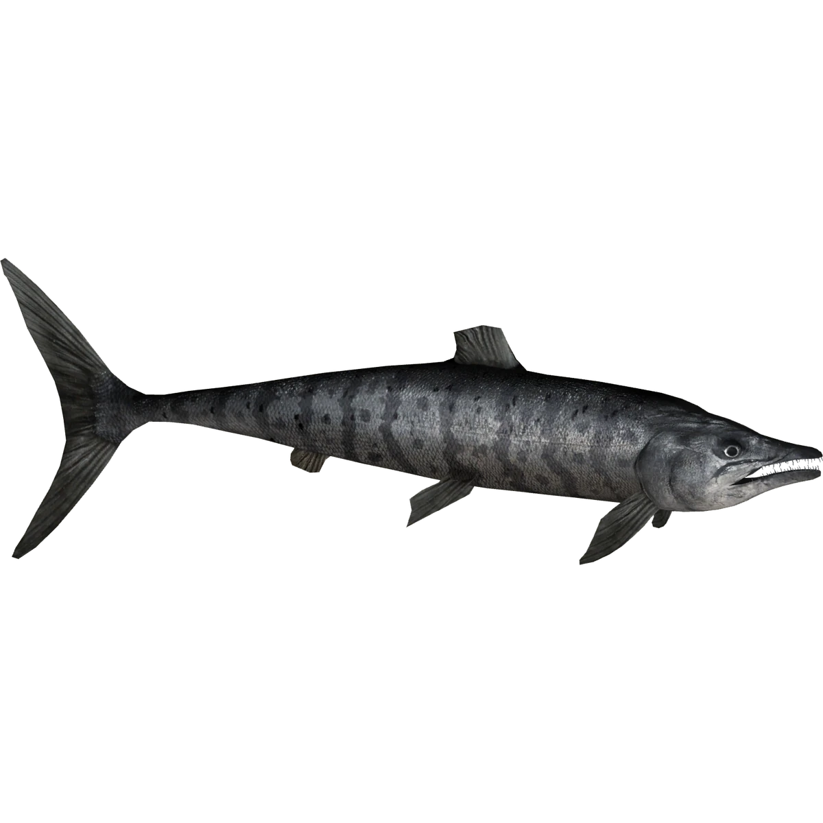 Cimolichthys (Okeanos) | ZT2 Download Library Wiki | Fandom