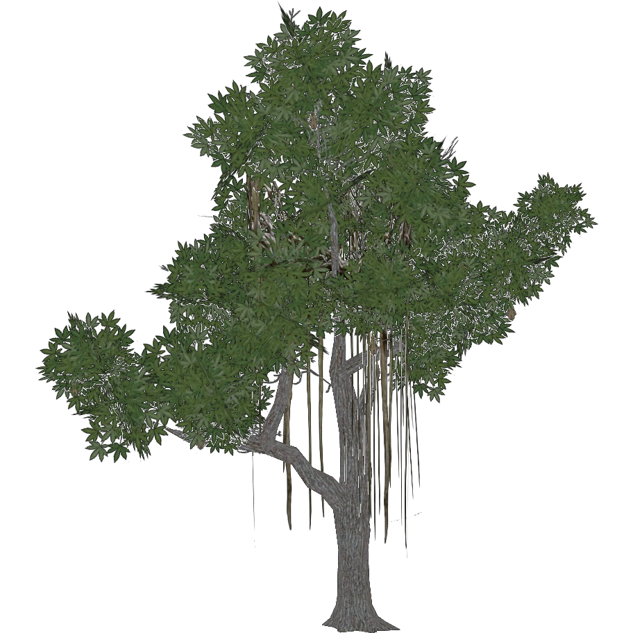 Kapok Tree (Demon Hunter) | ZT2 Download Library Wiki | Fandom