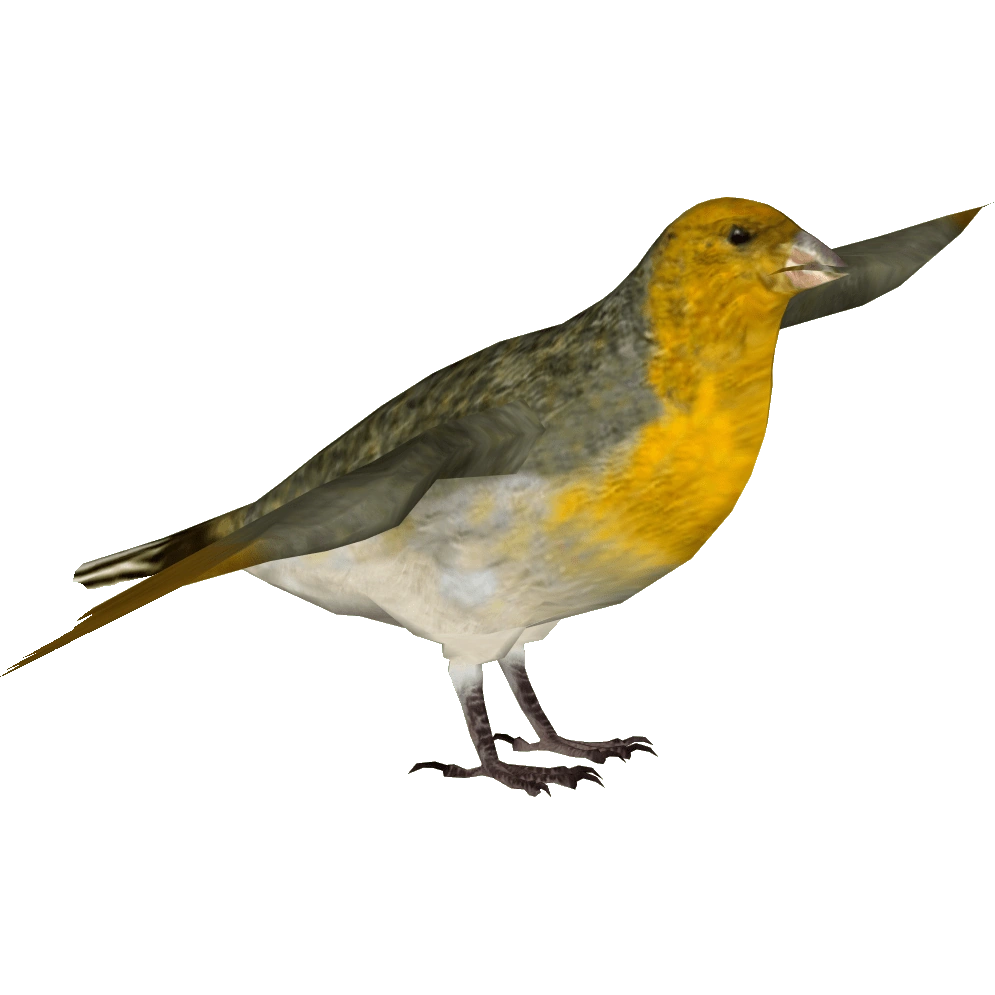 Nihoa Finch (Tamara Henson) | ZT2 Download Library Wiki | Fandom