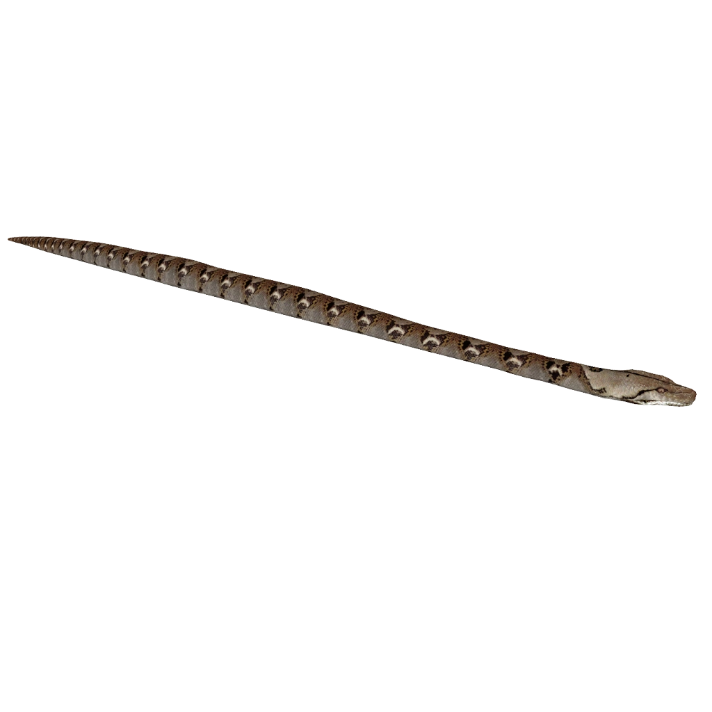 Reticulated Python (16529950) | ZT2 Download Library Wiki | Fandom