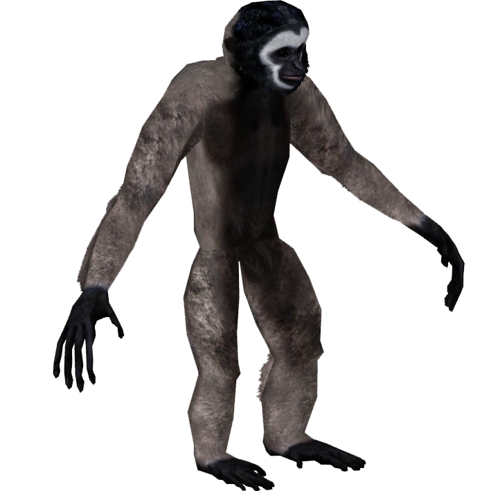 Muller's Gibbon (Tamara Henson) | ZT2 Download Library Wiki | Fandom