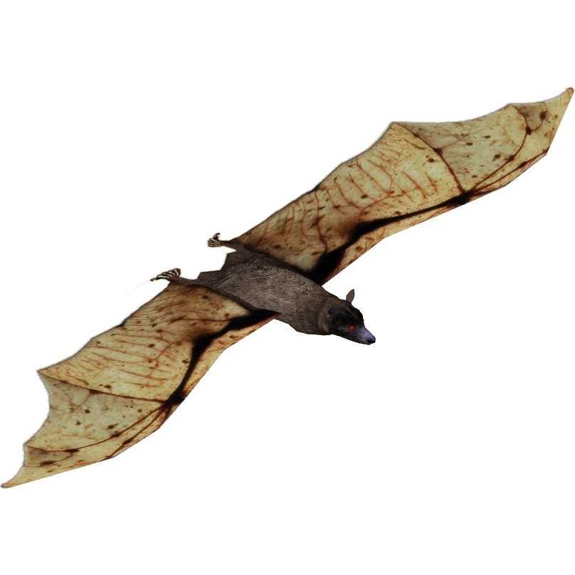 Fijian Monkey-faced Bat (MasterChief123) | ZT2 Download Library Wiki ...