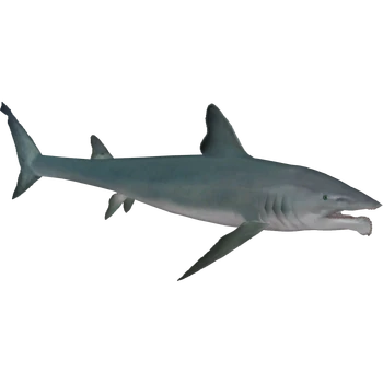 Helicoprion (Dycki1231) | ZT2 Download Library Wiki | Fandom