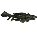 Category:Imago | ZT2 Download Library Wiki | Fandom