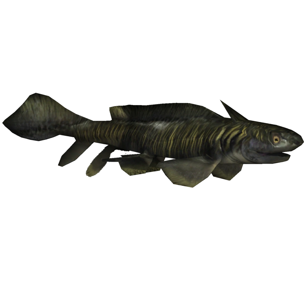 Orthacanthus