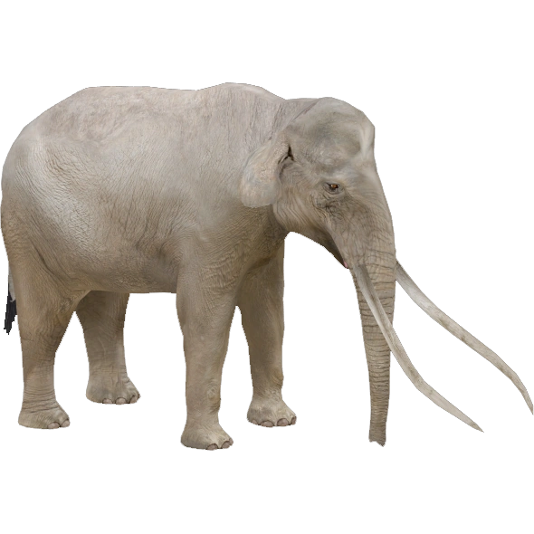 Reck's Elephant (Palaeoloxodon28) | ZT2 Download Library Wiki | Fandom
