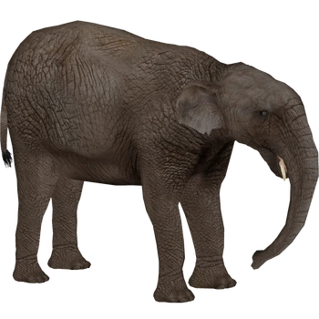 Chilgatherium (Demon Hunter) | ZT2 Download Library Wiki | Fandom