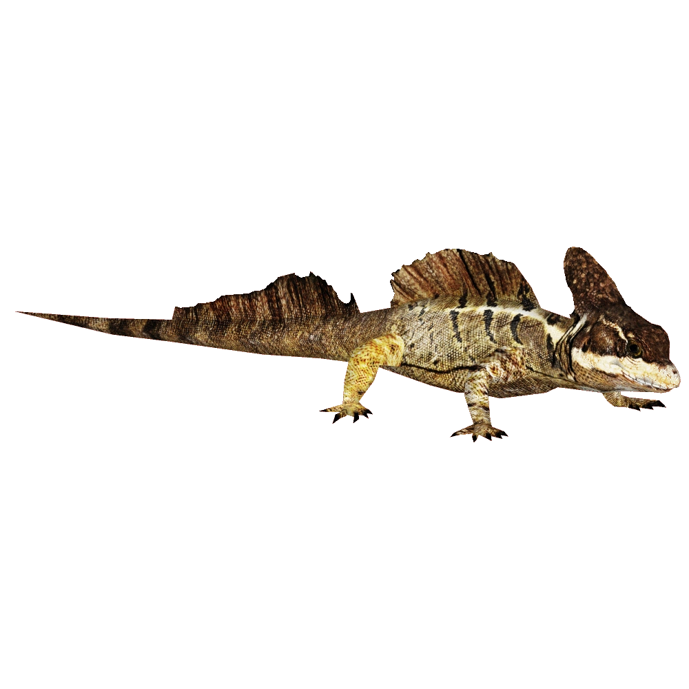Common Basilisk (16529950) | ZT2 Download Library Wiki | Fandom