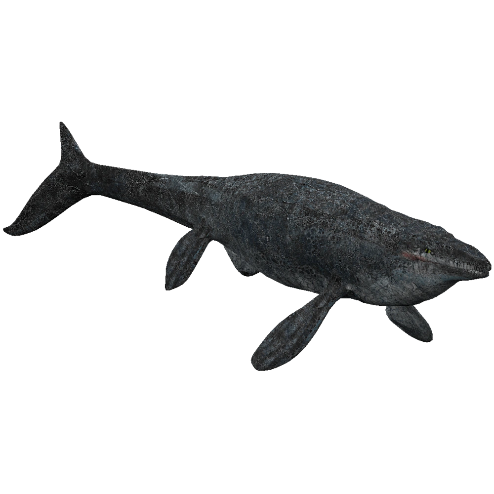 Hainosaurus (DoveCrusher) | ZT2 Download Library Wiki | Fandom