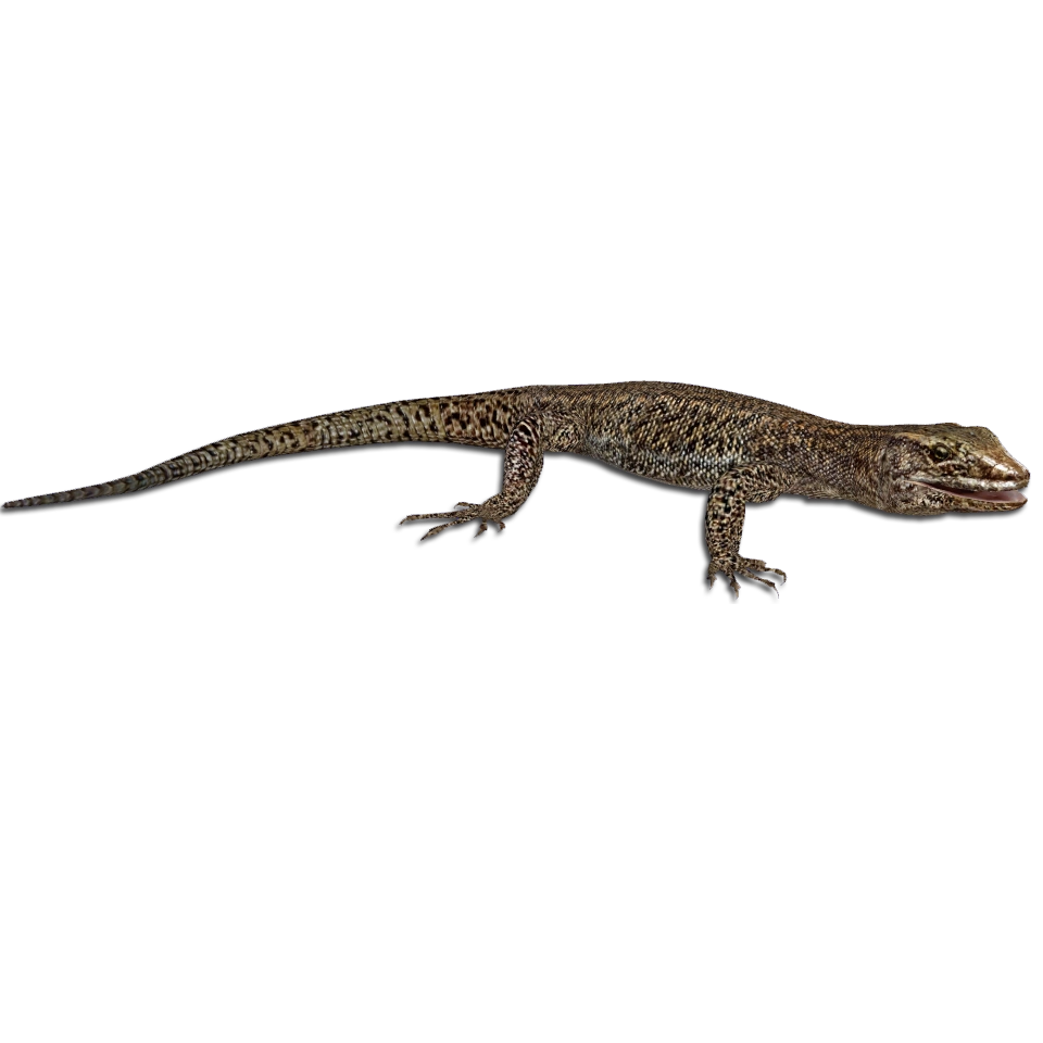 Desert Night Lizard (MiBound) | ZT2 Download Library Wiki | Fandom