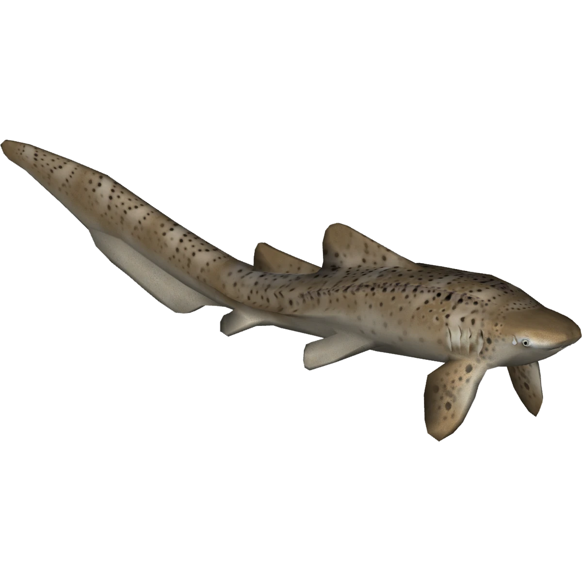 Zebra Shark (DudeMeister, Eryel & Zoker) | ZT2 Download Library Wiki ...