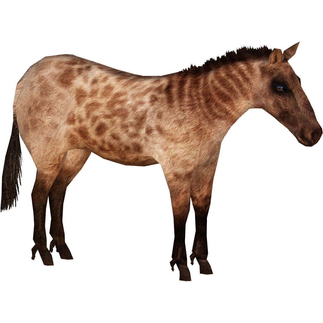 Parahippus (Tyranachu) | ZT2 Download Library Wiki | Fandom