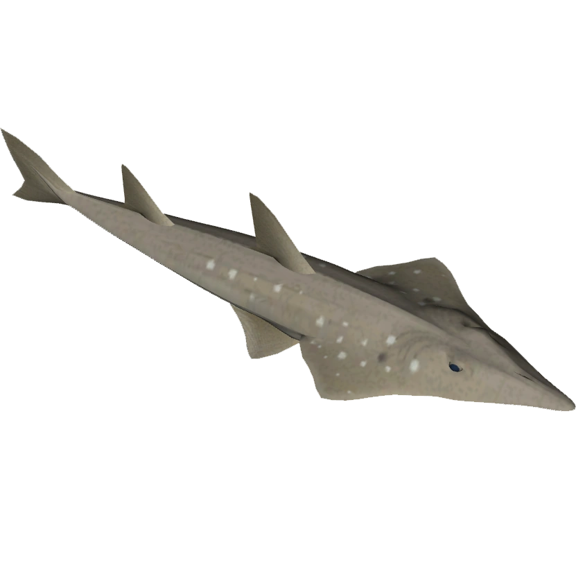 Guitarfish (Whalebite) | ZT2 Download Library Wiki | Fandom