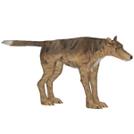 Category:Miocene Animals | ZT2 Download Library Wiki | Fandom