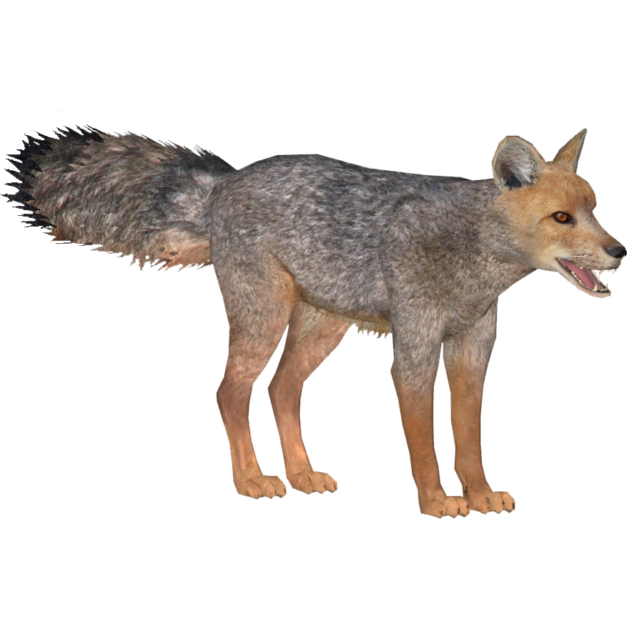 Culpeo (Lgcfm) | ZT2 Download Library Wiki | Fandom