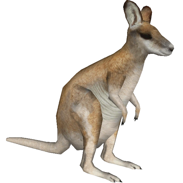 Category:Macropods | ZT2 Download Library Wiki | Fandom