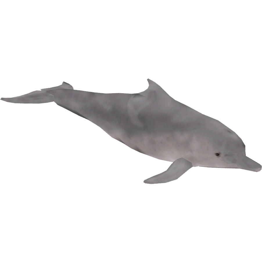 Atlantic Humpback Dolphin (Zeta-Designs) | ZT2 Download Library Wiki ...