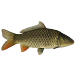 Variant Selector Script (Lgcfm) | ZT2 Download Library Wiki | Fandom