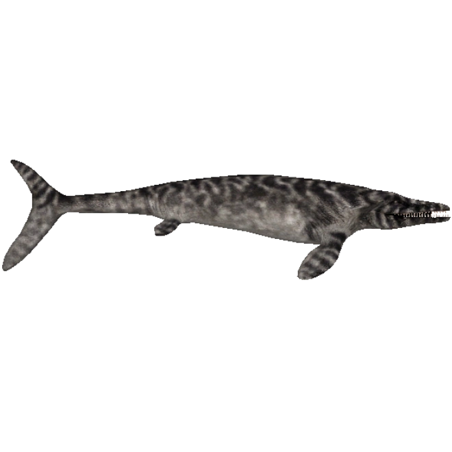 Halisaurus (Tyranachu) | ZT2 Download Library Wiki | Fandom