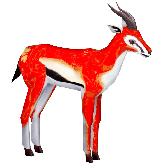 Red Gazelle Animal