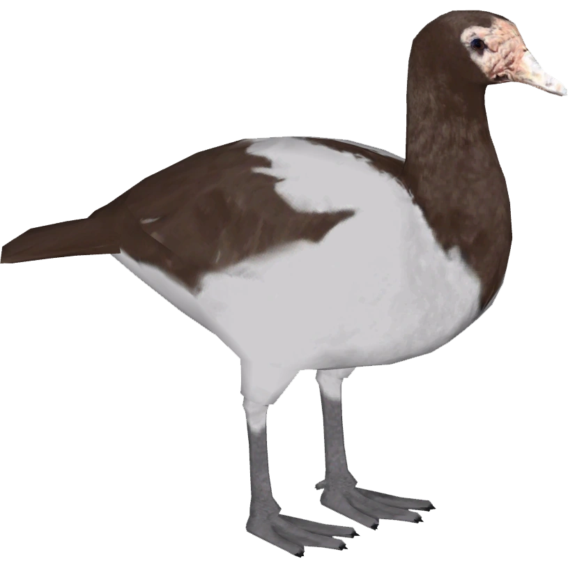 Vegavis (Whalebite) | ZT2 Download Library Wiki | Fandom