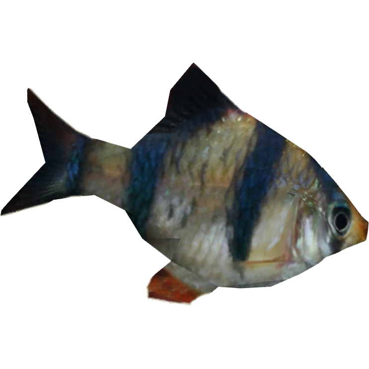 Tiger Barb (Robbie) | ZT2 Download Library Wiki | Fandom