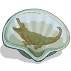 Painted Shells | Treasure Isle Wiki | Fandom