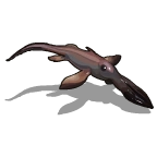 Deep Sea Creatures | Treasure Isle Wiki | Fandom