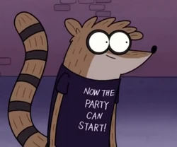 Rigby | Zwyczajny Serial Wiki | Fandom